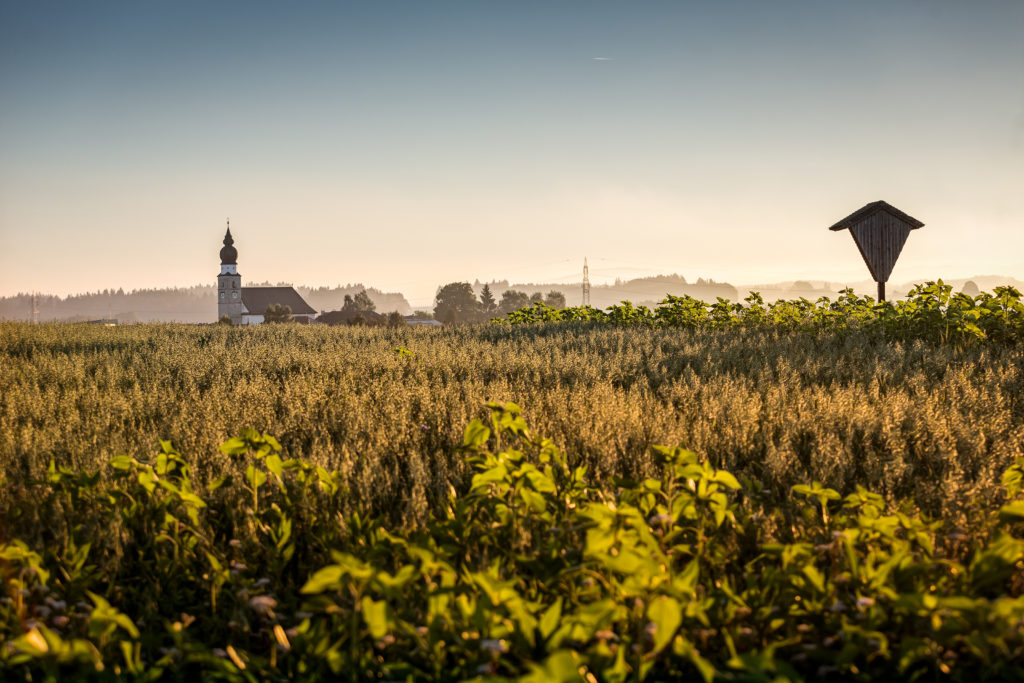 Eugendorf – Marktgemeinde | Euregio Salzburg